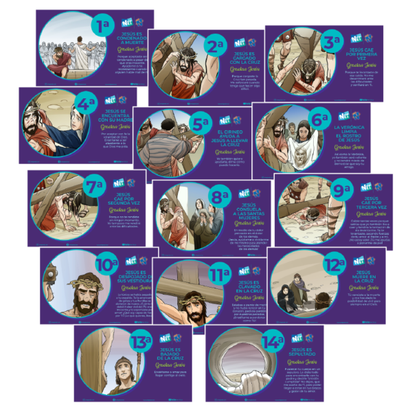 Inicio ⋆ Tienda NET